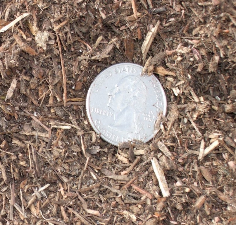 Nitrolized Soil Amendment